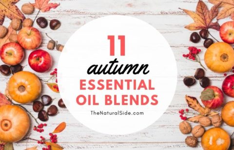 11 Fall Essential Oil Diffuser Blends to Warm Your Home Up | The ...