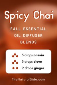 11 Fall Essential Oil Diffuser Blends to Warm Your Home Up | The ...